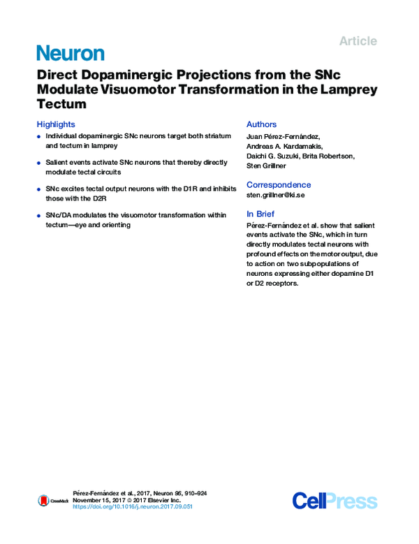 (PDF) Direct Dopaminergic Projections from the SNc Modulate Visuomotor ...