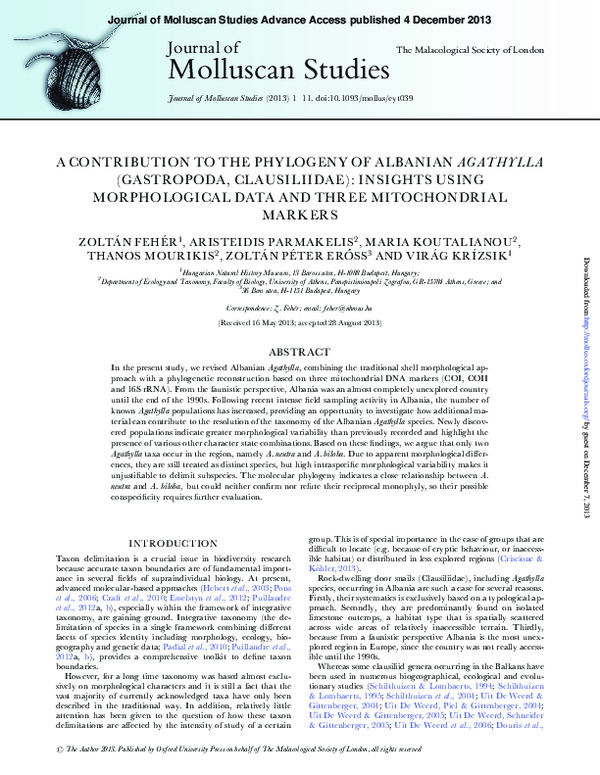 (PDF) A contribution to the phylogeny of Albanian Agathylla (Gastropoda ...