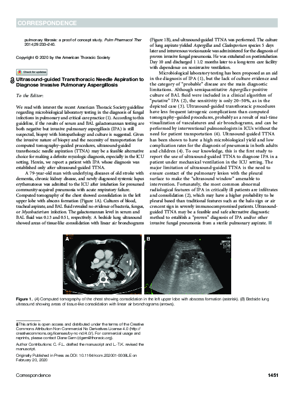 (PDF) Ultrasound-Guided Transthoracic Needle Aspiration to Diagnose ...