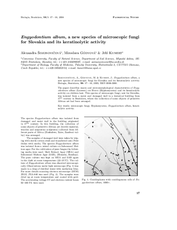 (PDF) Engyodontium album, a new species of microscopic fungi for ...