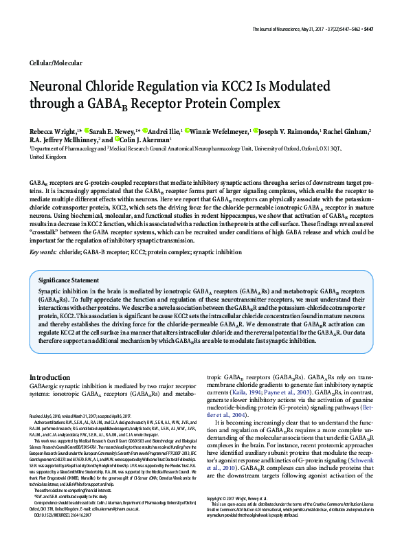 (PDF) Neuronal Chloride Regulation via KCC2 Is Modulated through a GABA ...