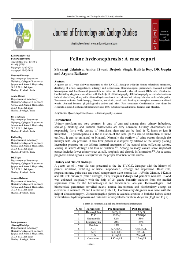 (PDF) Feline hydronephrosis: A case report