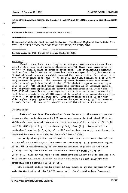 (PDF) An in vitro interaction between the human U3 snRNP and 28S rRNA ...