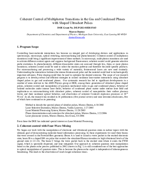 (PDF) Coherent Control of Multiphoton Transitions in the Gas and ...