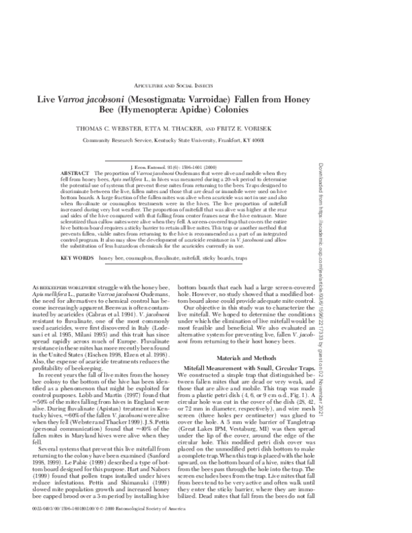 (PDF) Live Varroa jacobsoni (Mesostigmata: Varroidae) fallen from honey ...