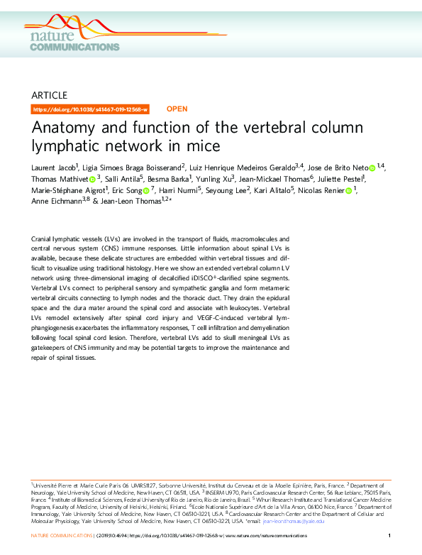 (PDF) Anatomy and function of the vertebral column lymphatic network in ...