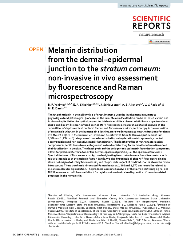 (PDF) Melanin distribution from the dermal–epidermal junction to the ...