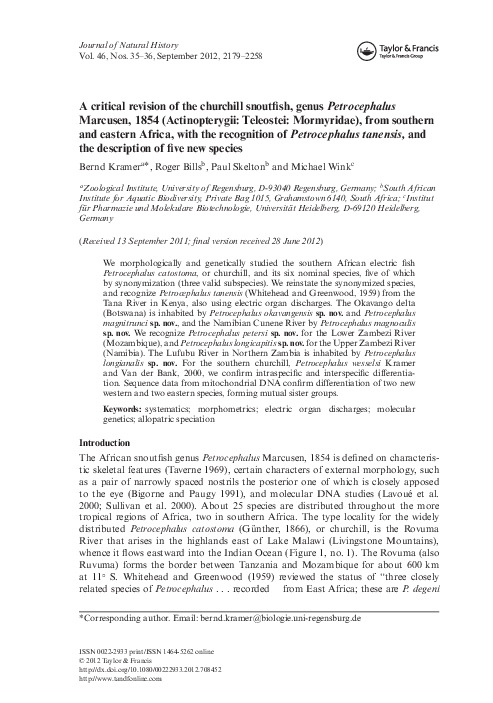 (PDF) A critical revision of the churchill snoutfish, genus ...