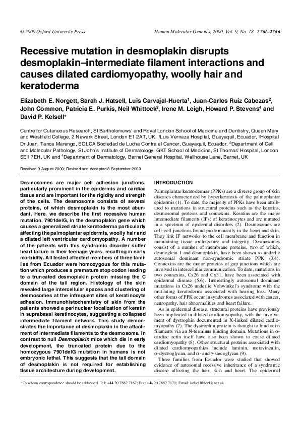 (PDF) Recessive Mutation In Desmoplakin Disrupts Desmoplakin ...