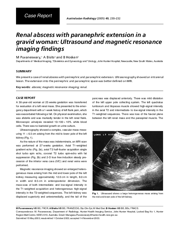 (PDF) Renal abscess with paranephric extension in a gravid woman ...