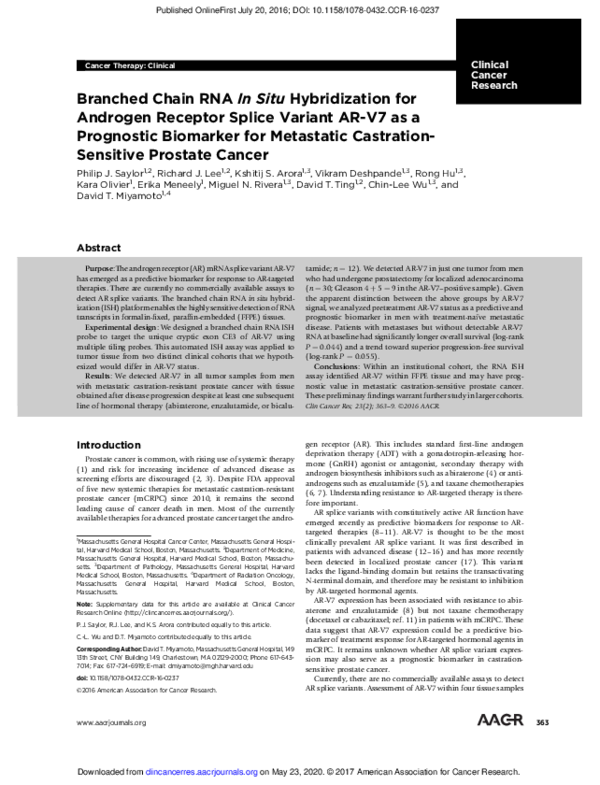 (PDF) Branched chain RNA in situ hybridization for androgen receptor splice variant AR-V7 as a ...