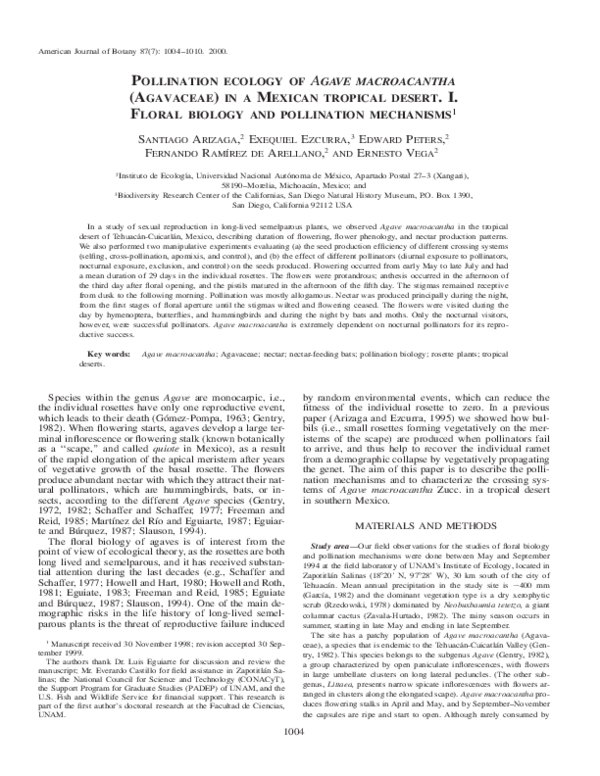 (PDF) Pollination Ecology of Agave macroacantha (Agavaceae) in a ...