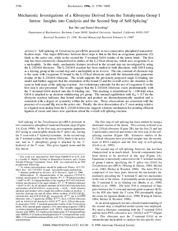 (PDF) Mechanisms of Tetrahymena Ribozyme Self-Splicing