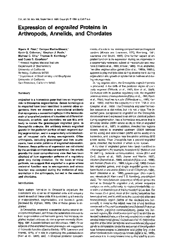 (PDF) Expression of Engrailed Proteins In Arthropods, Annelids, and ...