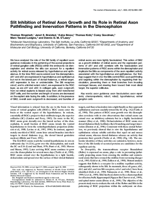 (PDF) Slit Inhibition of Retinal Axon Growth and Its Role In Retinal ...