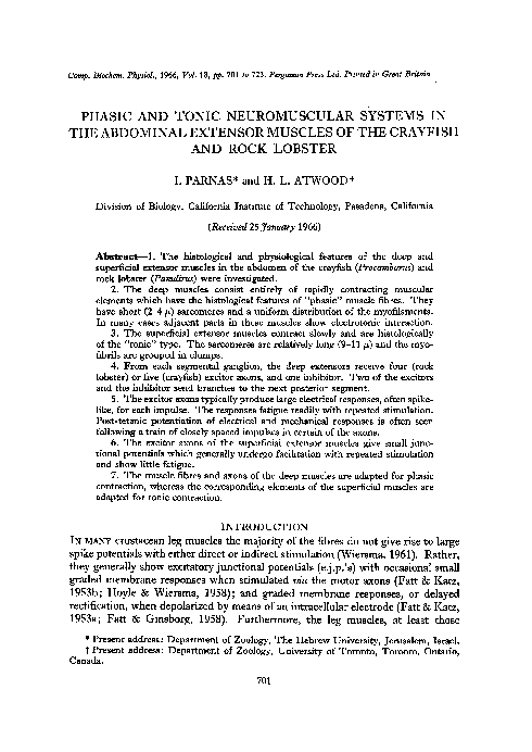 (PDF) Phasic and tonic neuromuscular systems in the abdominal extensor ...