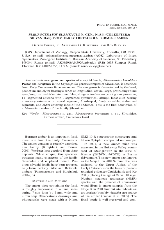 (PDF) Pleuroceratos burmiticus, n. gen., n. sp. (Coleoptera: Silvanidae ...