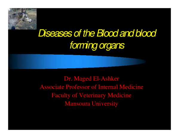 (PDF) Diseases of blood and blood forming organ