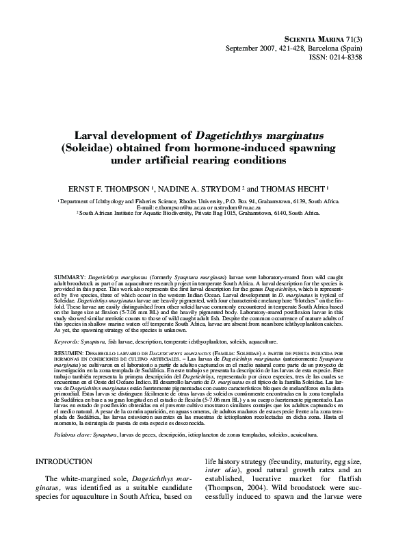 (PDF) Larval development of Dagetichthys marginatus (Soleidae) obtained ...
