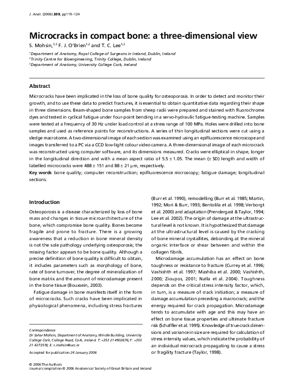 (PDF) Microcracks in compact bone: a three-dimensional view