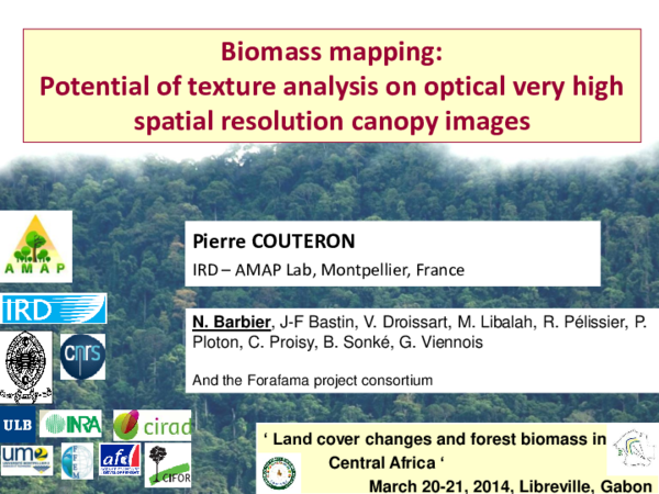 (PDF) Biomass mapping: Potential of texture analysis on optical very ...