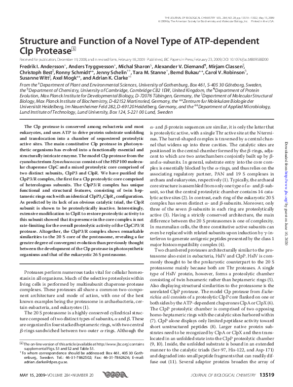 (PDF) Structure and Function of a Novel Type of ATP-dependent Clp Protease