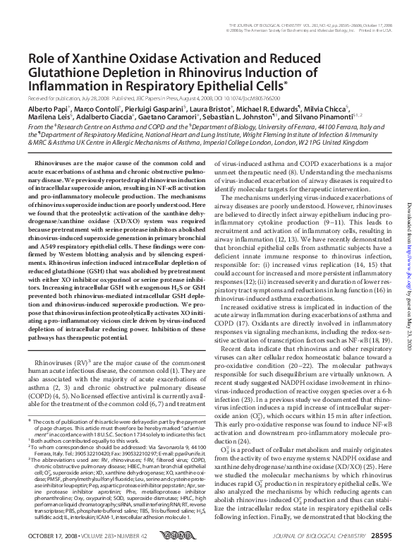 (PDF) Role of xanthine oxidase activation and reduced glutathione ...