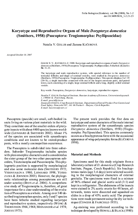 (PDF) Karyotype and Reproductive Organs of Male Dorypteryx domestica ...