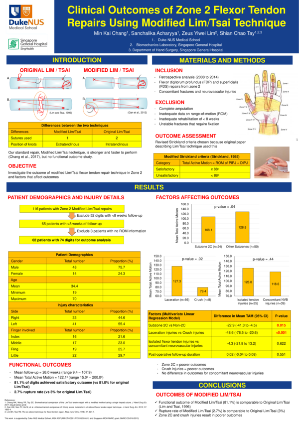 (PDF) Clinical Outcomes of Zone 2 Flexor Tendon Repairs Using the ...