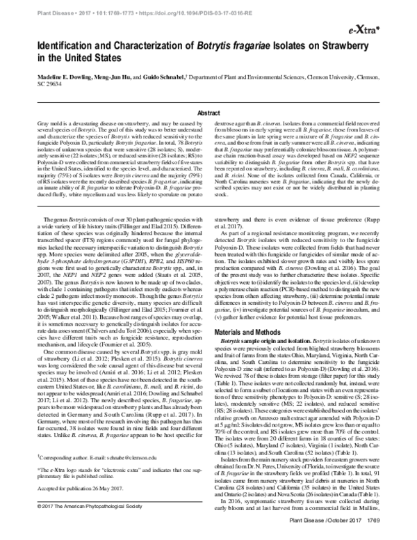 (PDF) Identification and Characterization of Botryosphaeria spp ...