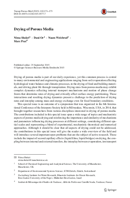 (PDF) Drying of Porous Media