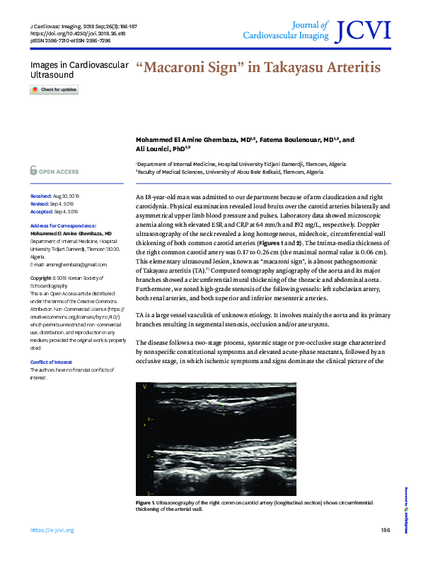 (PDF) “Macaroni Sign” in Takayasu Arteritis | Ali Lounici - Academia.edu