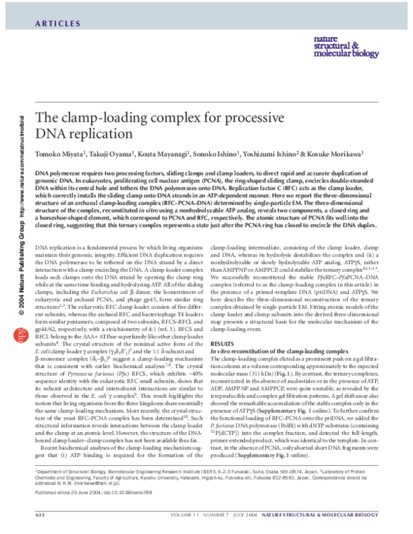 (PDF) The clamp-loading complex for processive DNA replication