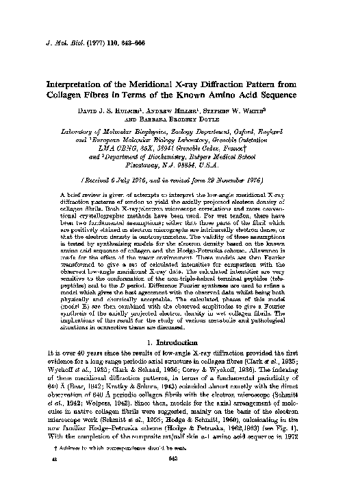 (PDF) Interpretation of the meridional X-ray diffraction pattern from ...