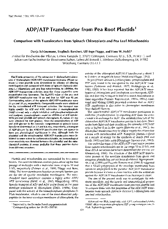 (PDF) ADP/ATP Translocator from Pea Root Plastids (Comparison with ...