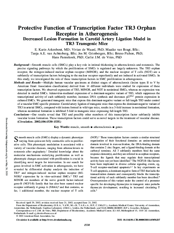 (PDF) Protective Function of Transcription Factor TR3 Orphan Receptor ...