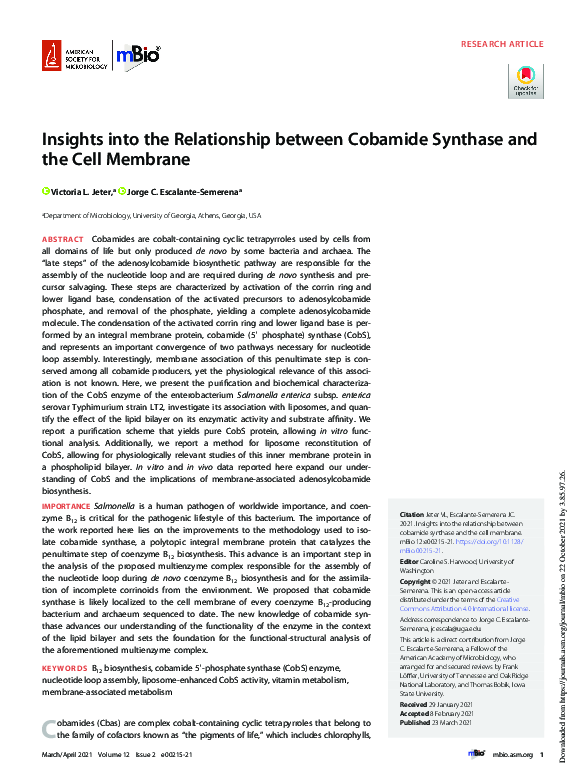 (PDF) Insights into the Relationship between Cobamide Synthase and the ...