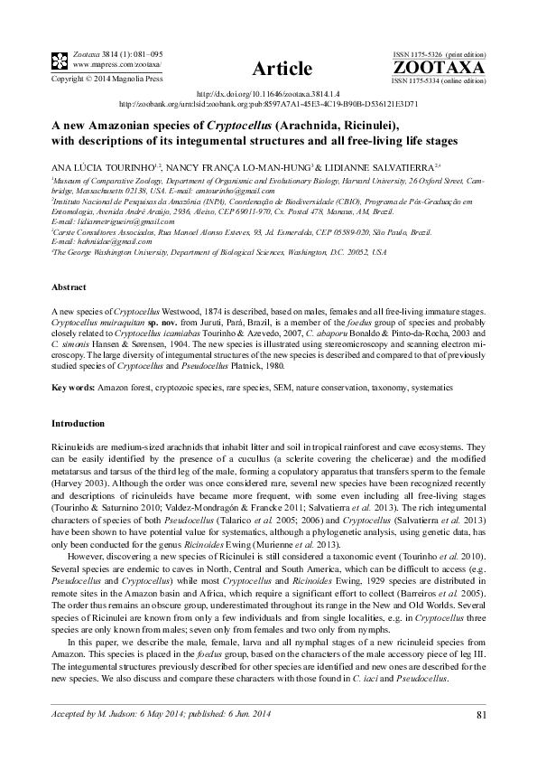 (PDF) A new Amazonian species of Cryptocellus (Arachnida, Ricinulei ...