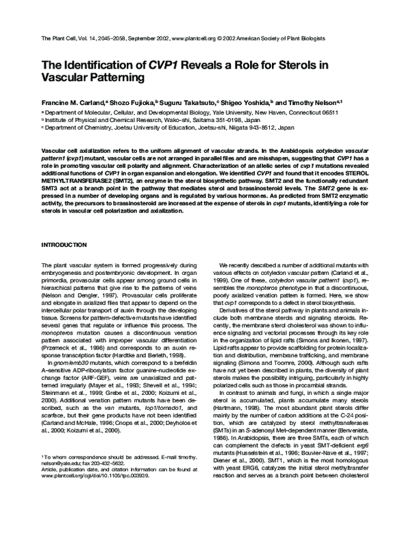 (PDF) The Identification of CVP1 Reveals a Role for Sterols in Vascular ...