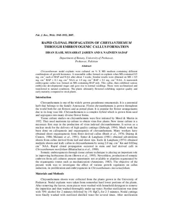 (PDF) Rapid Clonal Propagation of Chrysanthemum Through Embroyogenic ...