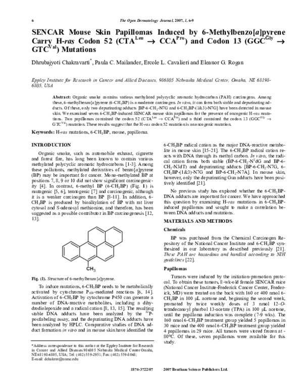 (PDF) SENCAR Mouse Skin Papillomas Induced by 6-Methylbenzo[a]pyrene ...
