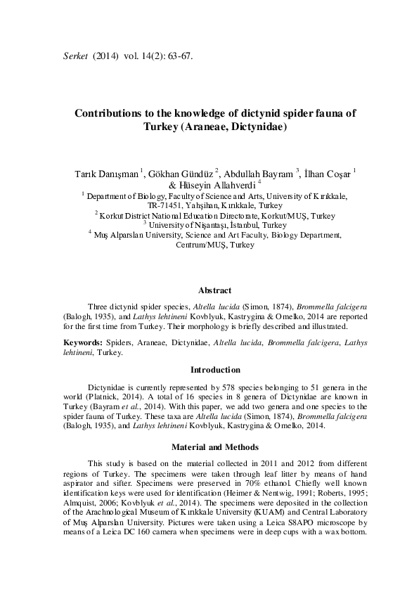 (PDF) Contributions to the knowledge of dictynid spider fauna of Turkey ...