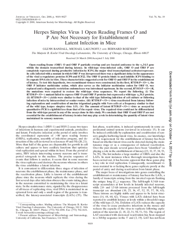 (PDF) Herpes simplex virus 1 open reading frames O and P are not ...