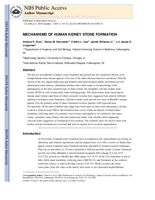 (PDF) Mechanisms of human kidney stone formation