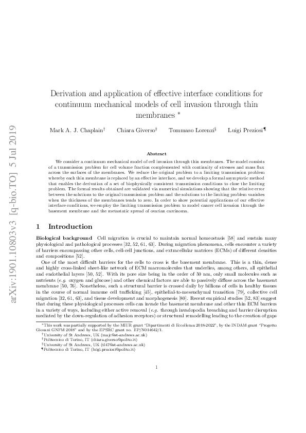 (PDF) Effective Interface Conditions for Cell Invasion