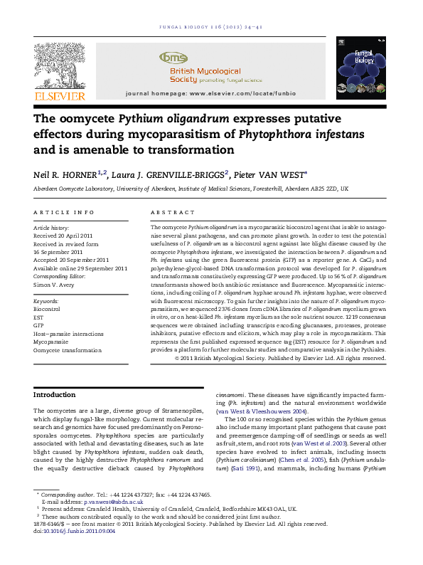 (PDF) The oomycete Pythium oligandrum expresses putative effectors during mycoparasitism of ...