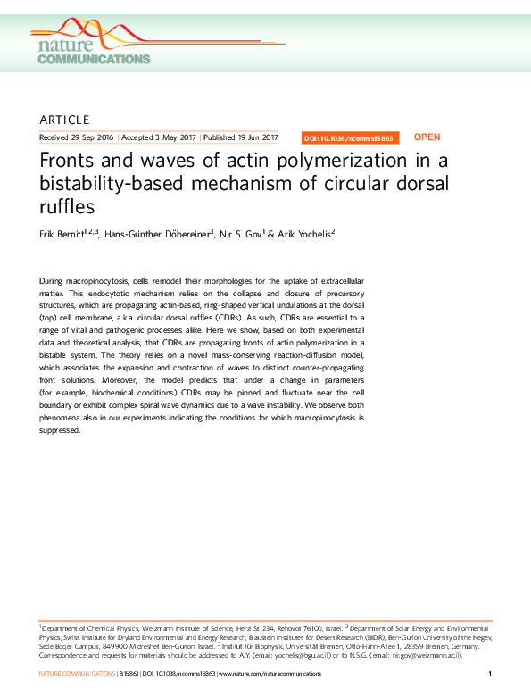(PDF) Fronts and waves of actin polymerization in a bistability-based ...