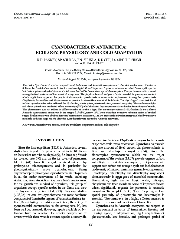 (PDF) Cyanobacteria in Antarctica: ecology, physiology and cold adaptation