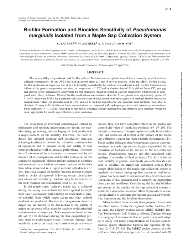 (PDF) Biofilm formation and biocides sensitivity of Pseudomonas ...