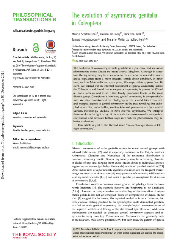 (PDF) The evolution of asymmetric genitalia in Coleoptera
